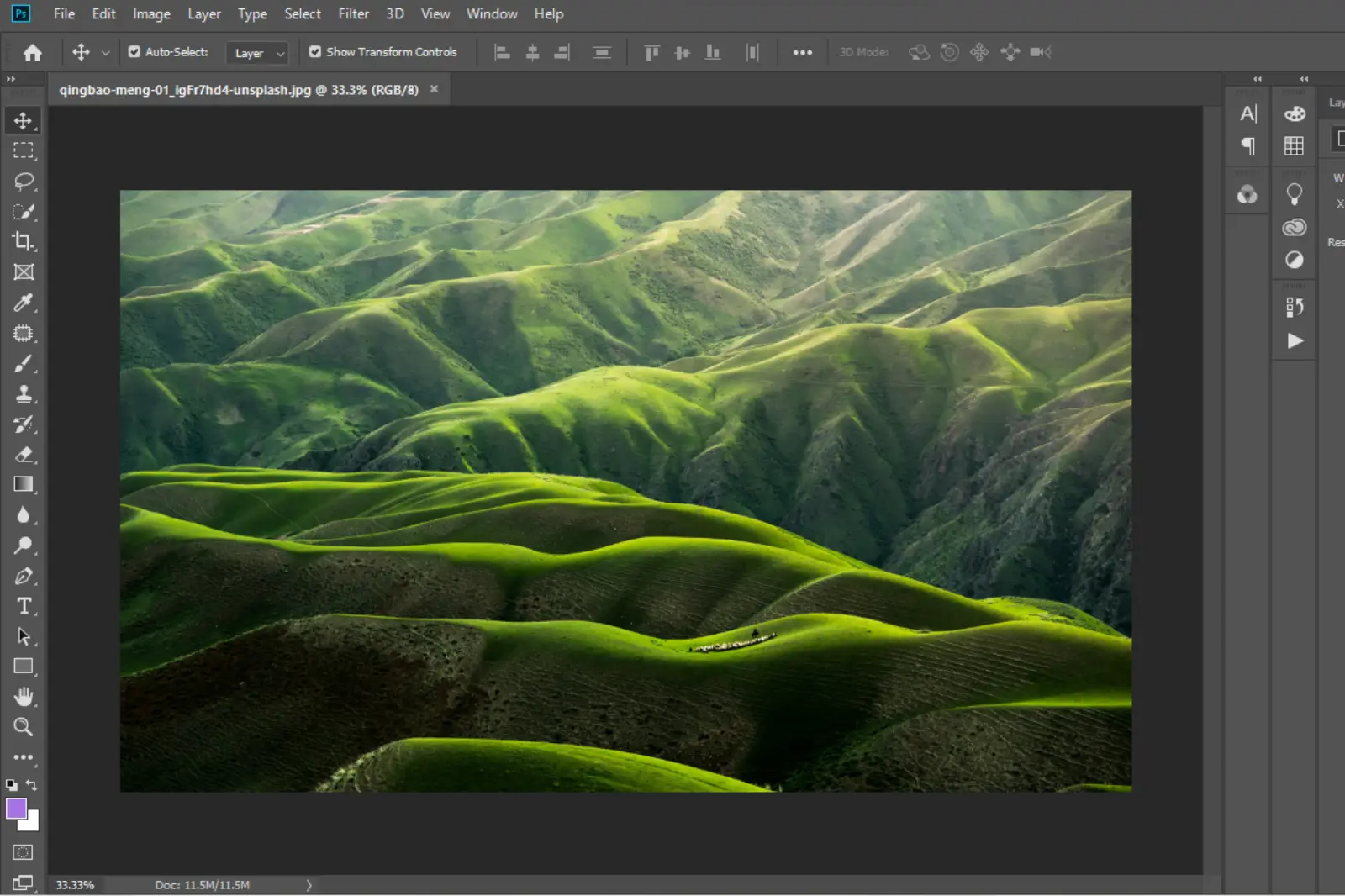 Detect an Invisible Watermark